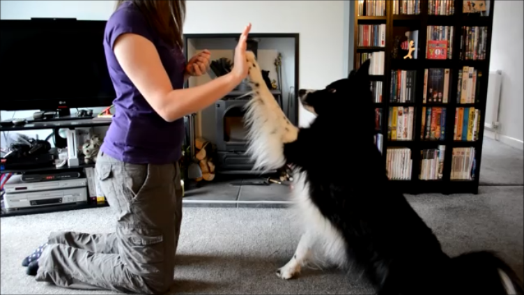 Puppy passes & high fives – Ruth on an Adventure